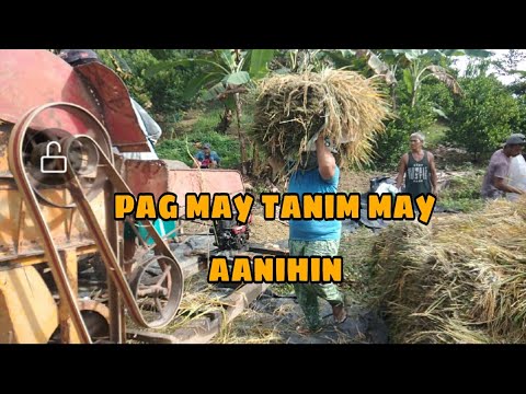 Pag may tanim may aanihin mga lods - YouTube