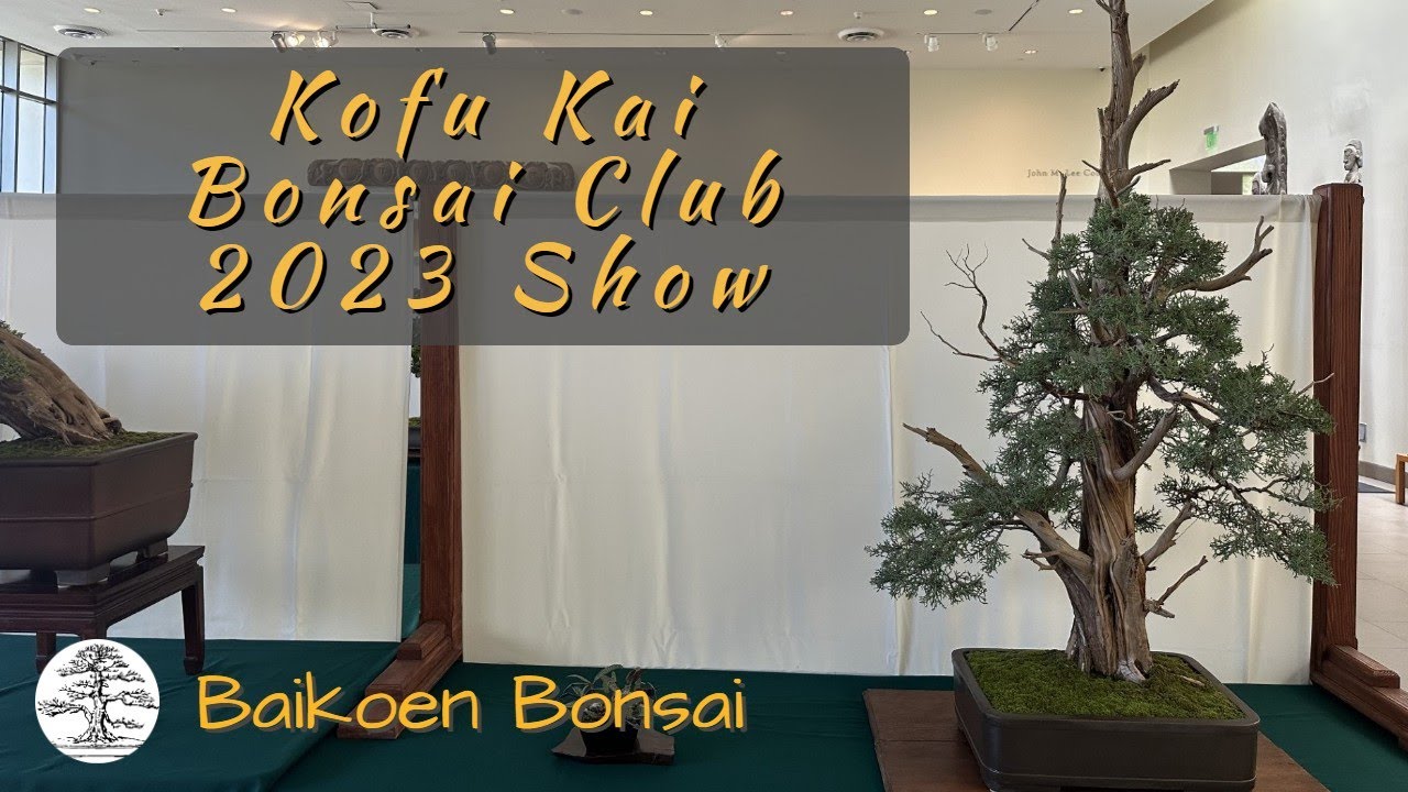 Kofu Kai Bonsai Club - 2023 Fall Show - Bonsai Exhibition - Baikoen ...