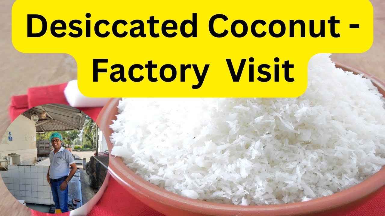 Desiccated Coconut Factory Visit | DC නිෂ්පාදන කර්මාන්තශාලාවක සිදු කල ...