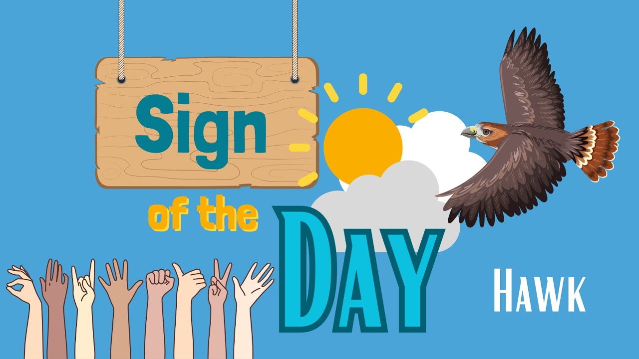 Sign Of The Day | Learn The ASL Sign For Hawk | ASL For Kids & Toddlers ...