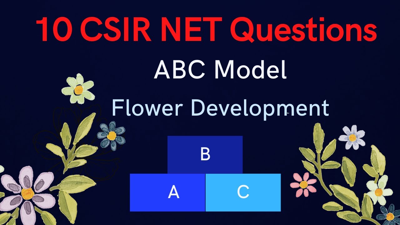 Flower development in Arabidopsis ABC Model|CSIR NET|Life sciences ...