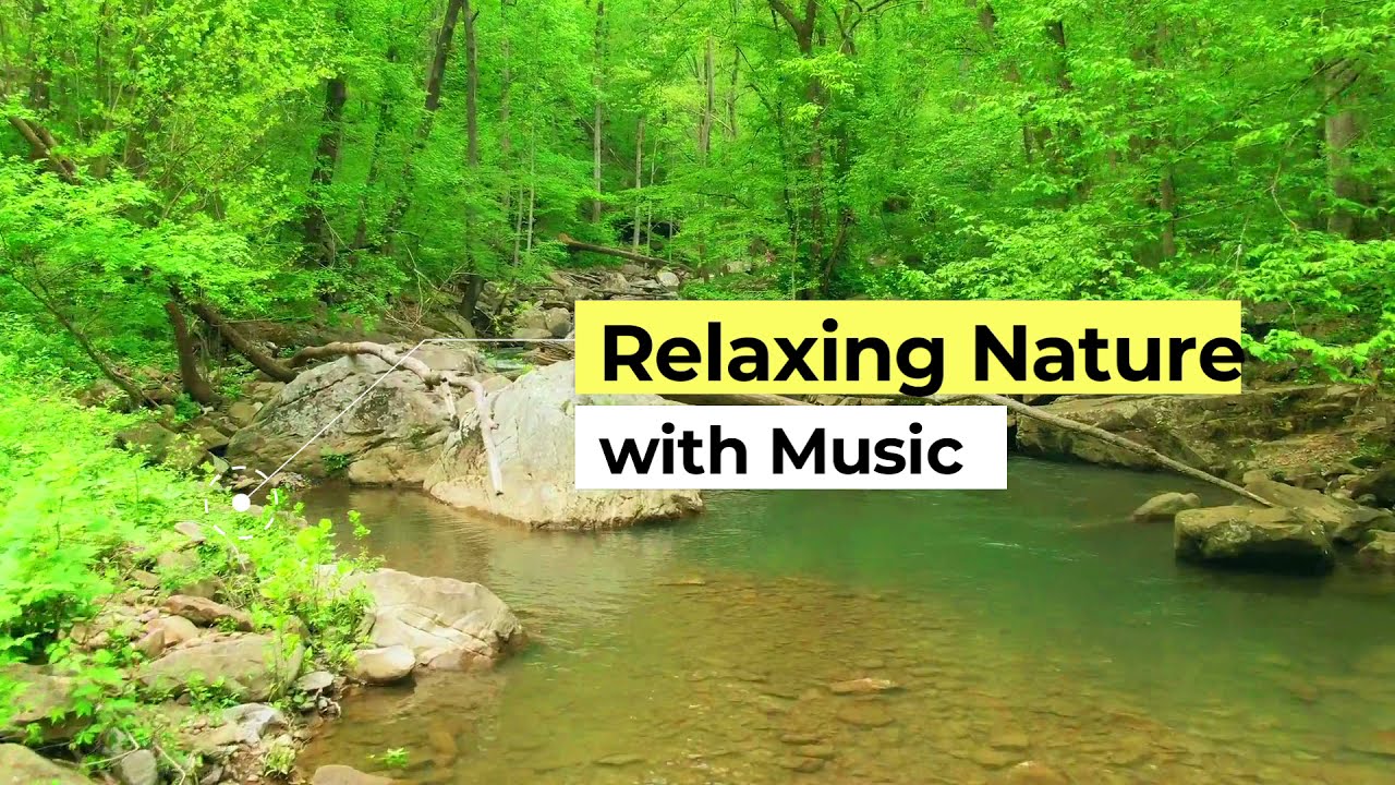 Relaxing Nature (forests, river, autumn) and inspirational music # ...