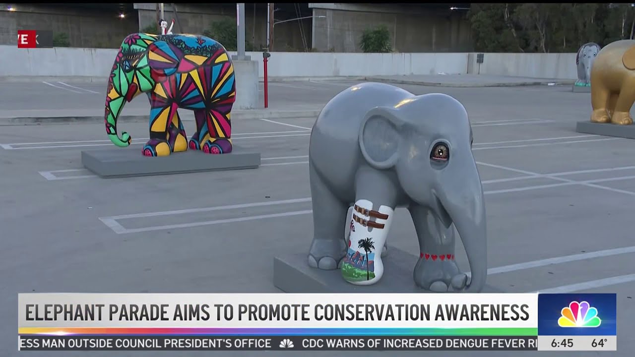 Elephant conservation parade comes to Burbank - YouTube