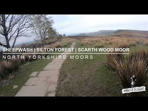 Sheepwash | Silton Forest | Scarth Wood Moor - YouTube