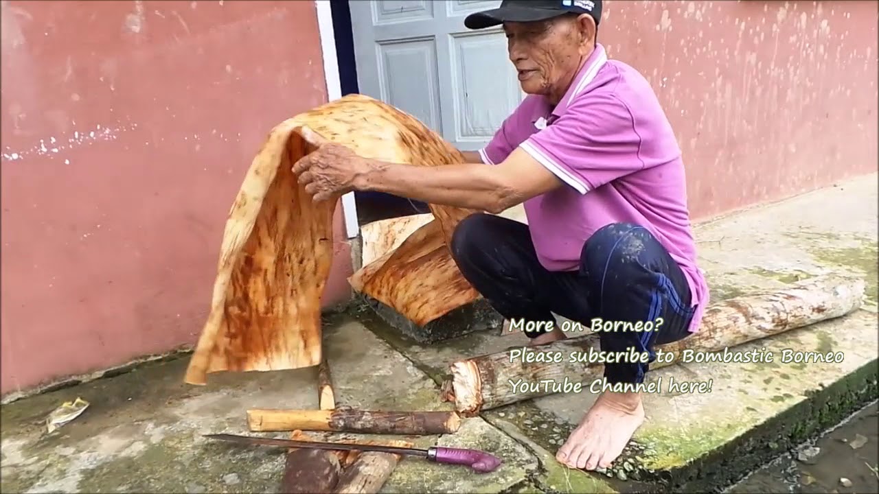 Tree Bark Processing in Kampung Tang Itong Lawas Sarawak Malaysia ...