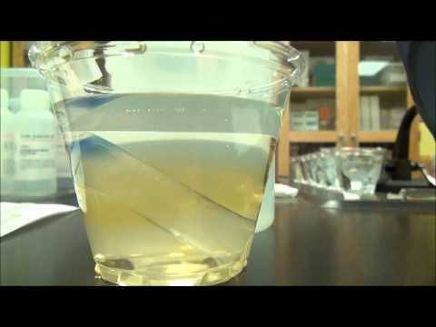 Diffusion Lab Time-Lapse - YouTube