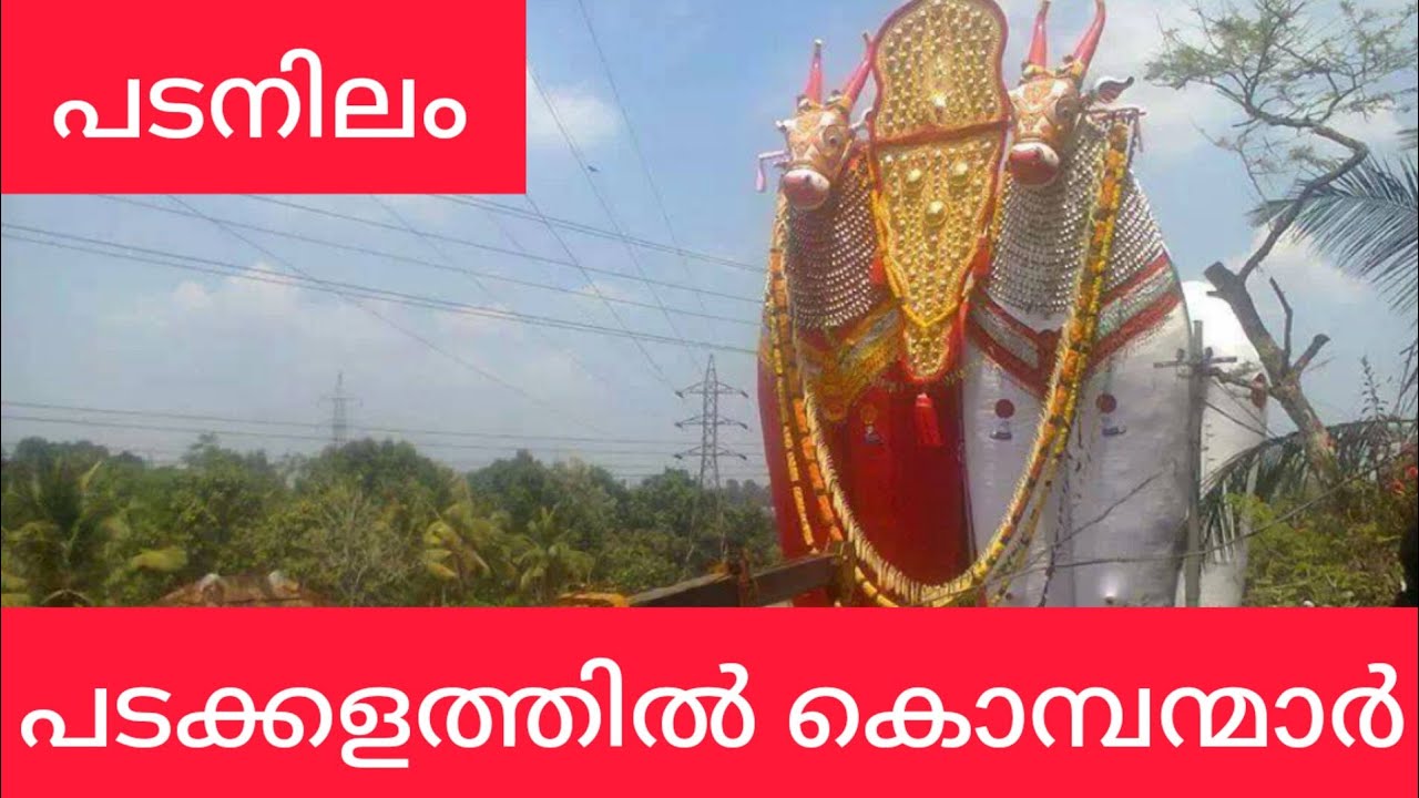 യുദ്ധഭൂമിയിൽ ഇറങ്ങിയ കൊമ്പന്മാർ NOORANAD PADANILAM PARABRAMMA TEMPLE ...