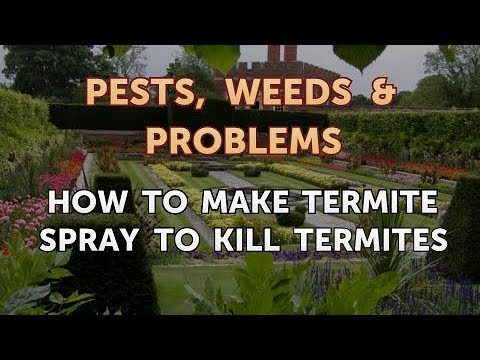 How to Make Termite Spray to Kill Termites - YouTube