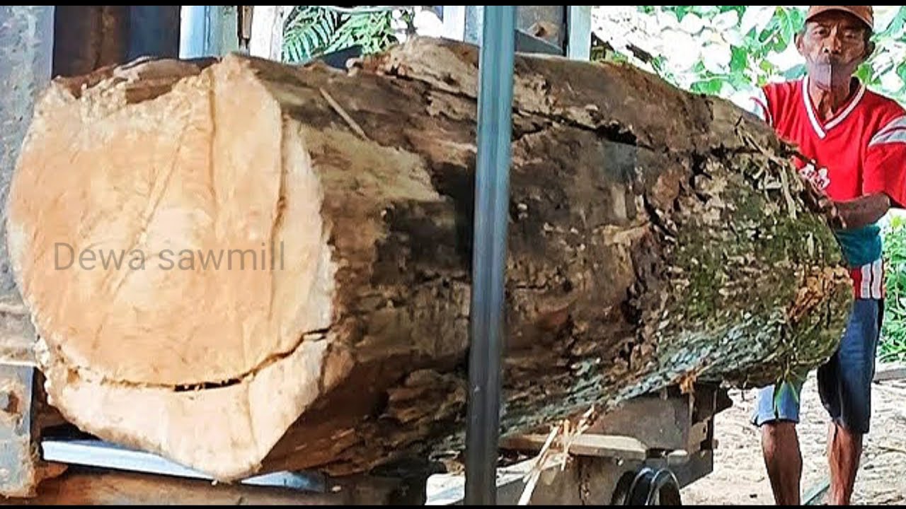 Sawing deformed oak wood but beautifully fibrous - YouTube