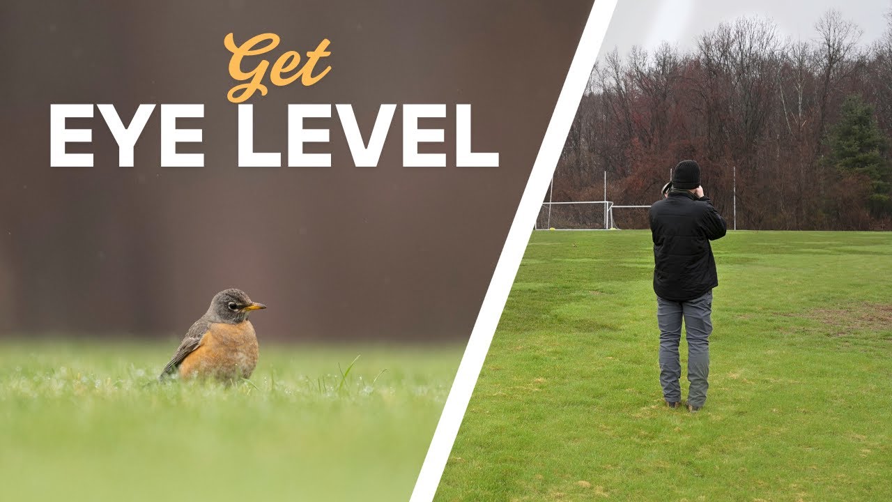 A SIMPLE trick to help make your subjects stand out in your photos ...