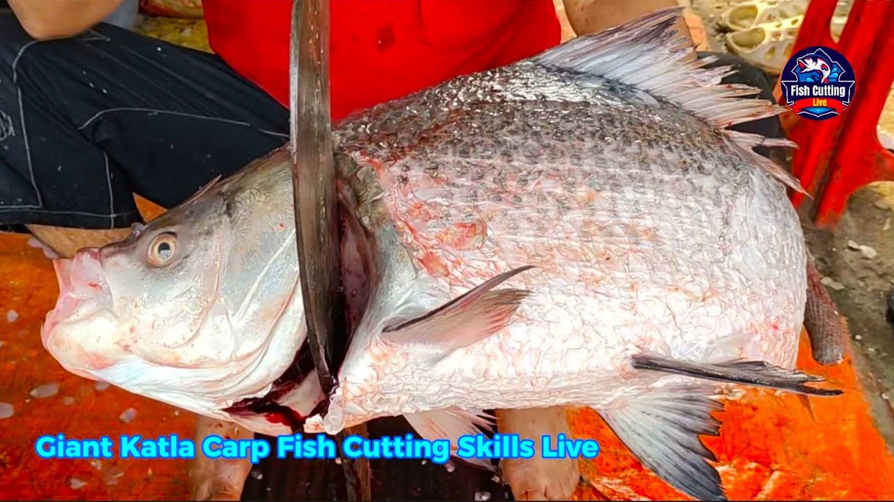 Giant Katla Carp Fish Cutting Skills Live In Bangladeshi Market l Fast ...
