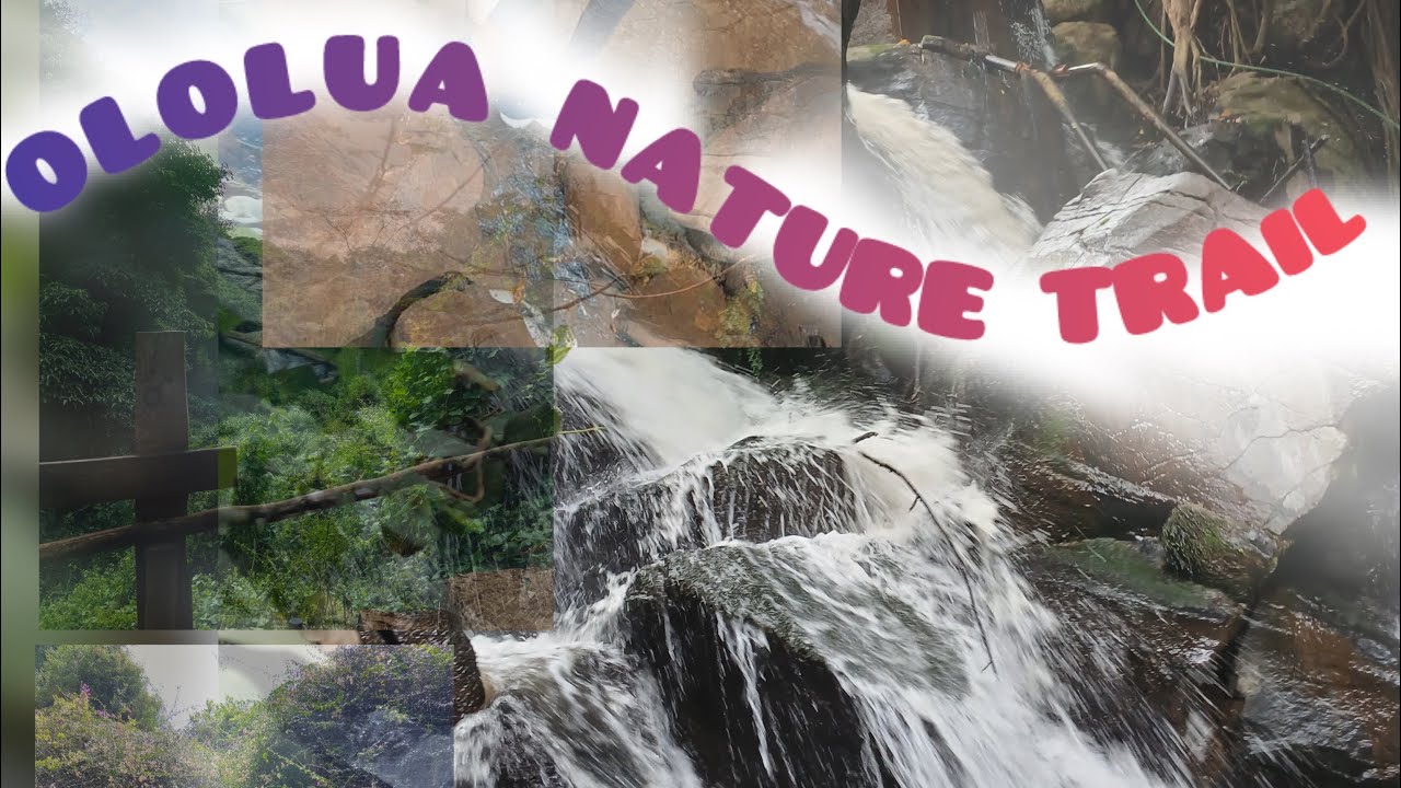 Ololua nature trail || Nairobi outdoor activities || Travel ...