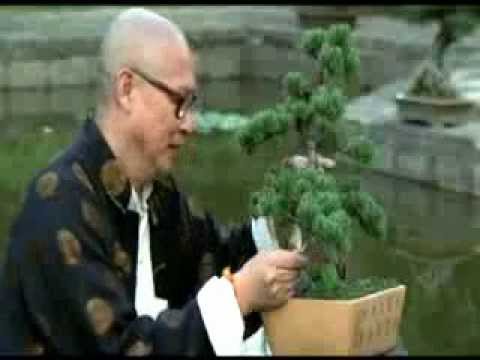 china strike force german