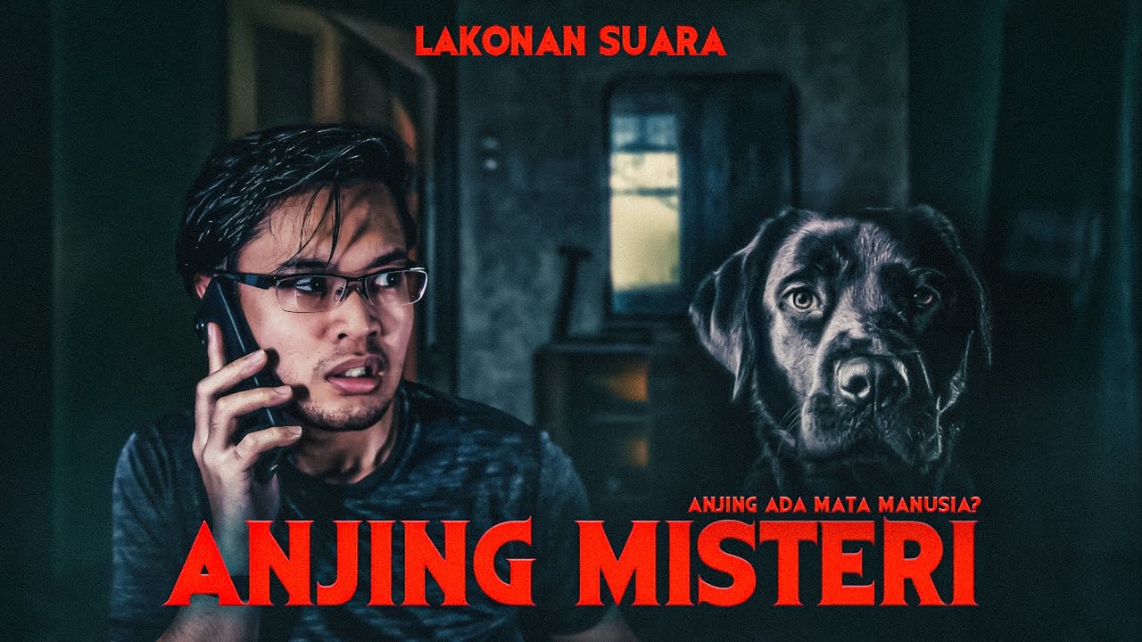 [LAKONAN SUARA] ANJING MISTERI | Adaptasi dari "Chat History Mystery ...
