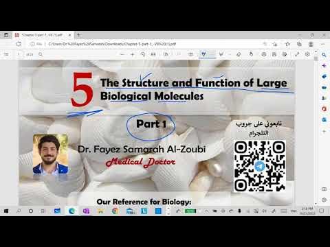 Chapter 5 part 1 - YouTube