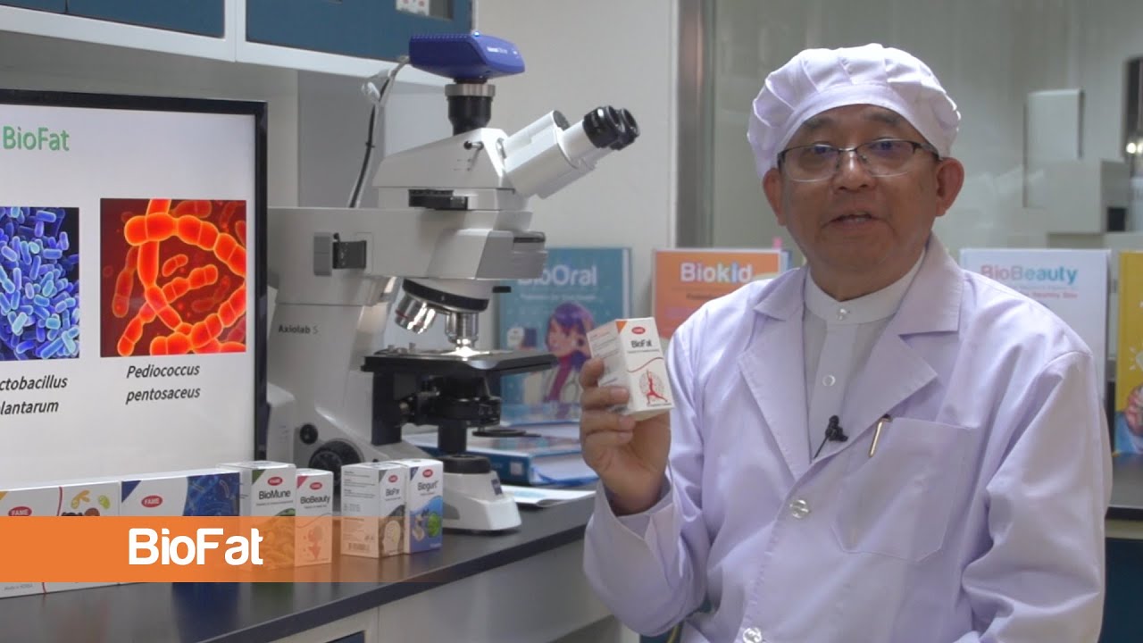 အဆီကျဝိတ်ကျစေတဲ့ ပရိုဘိုင်အိုတစ် BioFat - YouTube