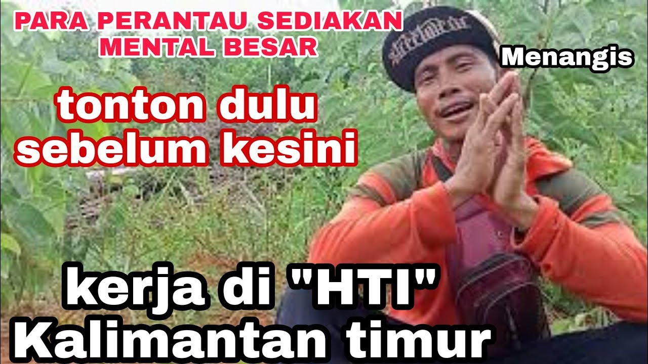 kerja bareng konco seperjuangan || di PT.HTI longnah || hadi vlog - YouTube