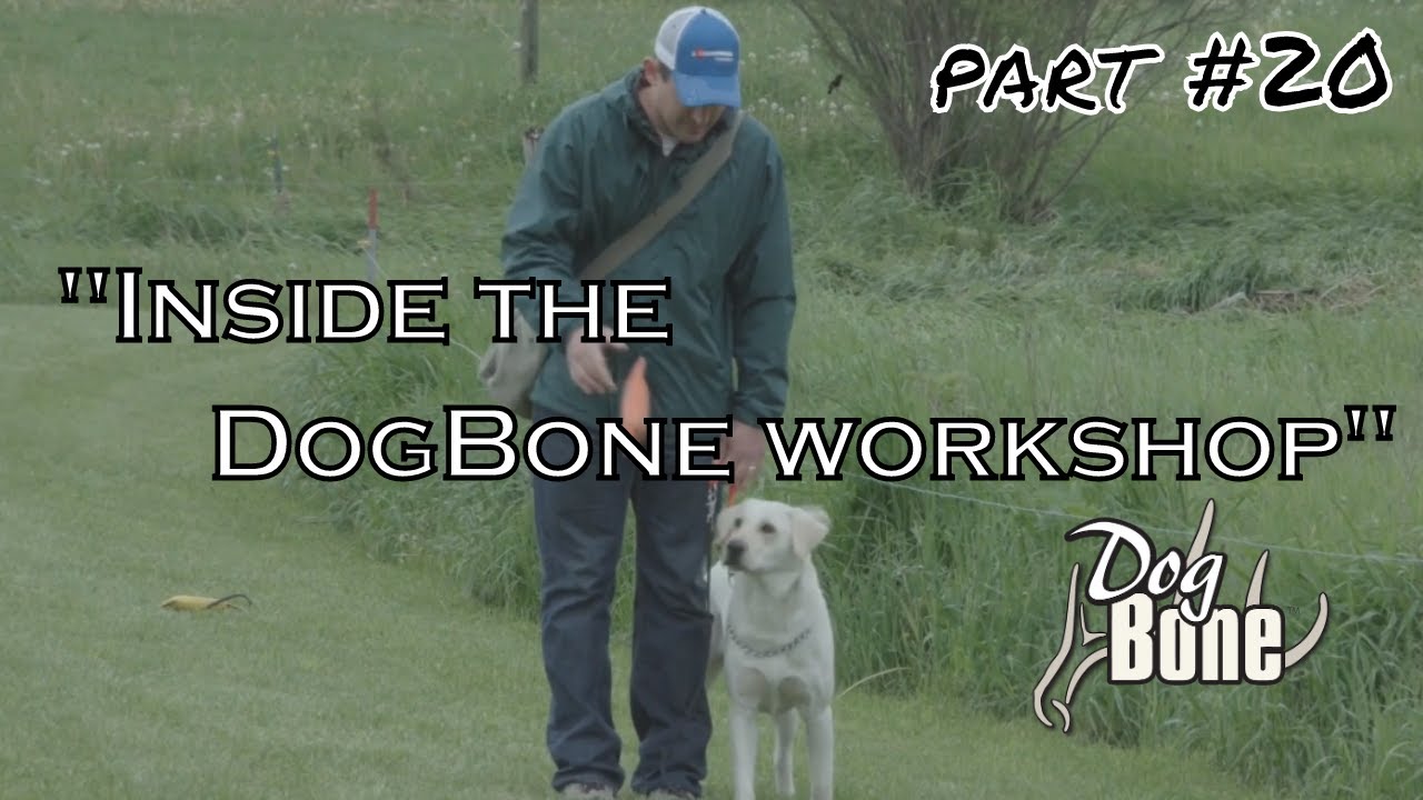 Retriever Training Drills: Doubles | "Inside The DogBone Workshop" Part ...