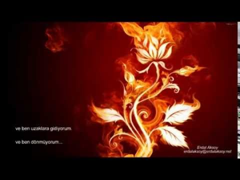 Erdal Aksoy-Ve ben uzaklara gidiyorum.