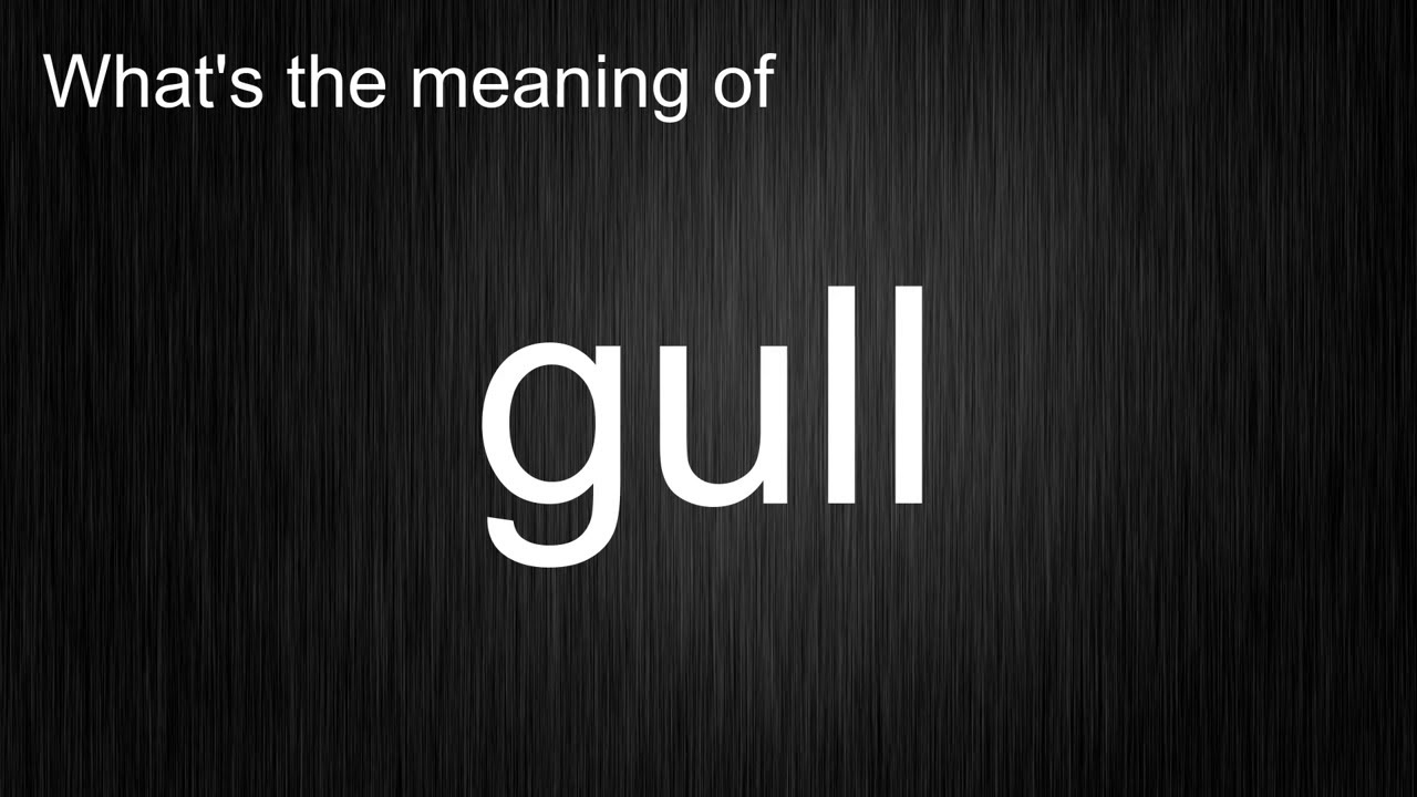 What's the meaning of "gull", How to pronounce gull? - YouTube