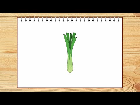 Pırasa Nasıl Çizilir? - Pırasa Boyama