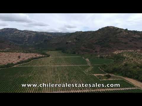 Vineyard and Winery in Curico valley for sale - YouTube