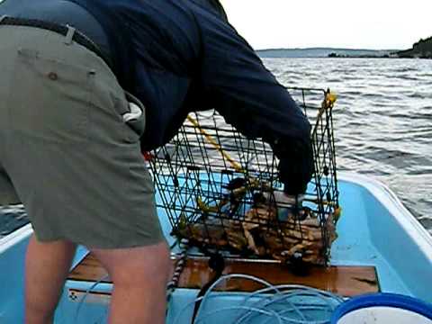 Pulling Crab Pots off Whidbey Island - YouTube