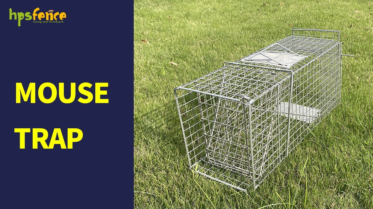 Rat trap Details And Installation For rat trap cage - YouTube