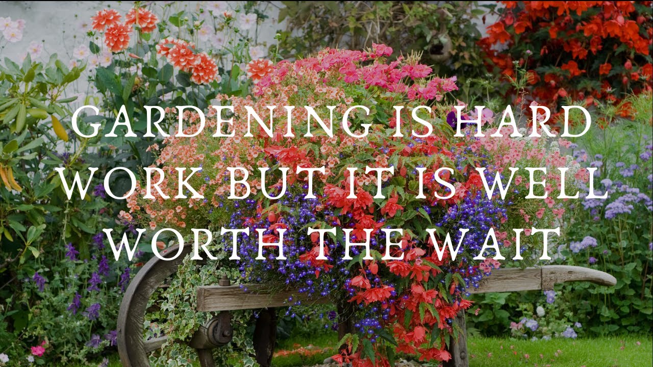 Gardening Is Hard Work But It Is Well Worth The Wait! | What's In Your ...