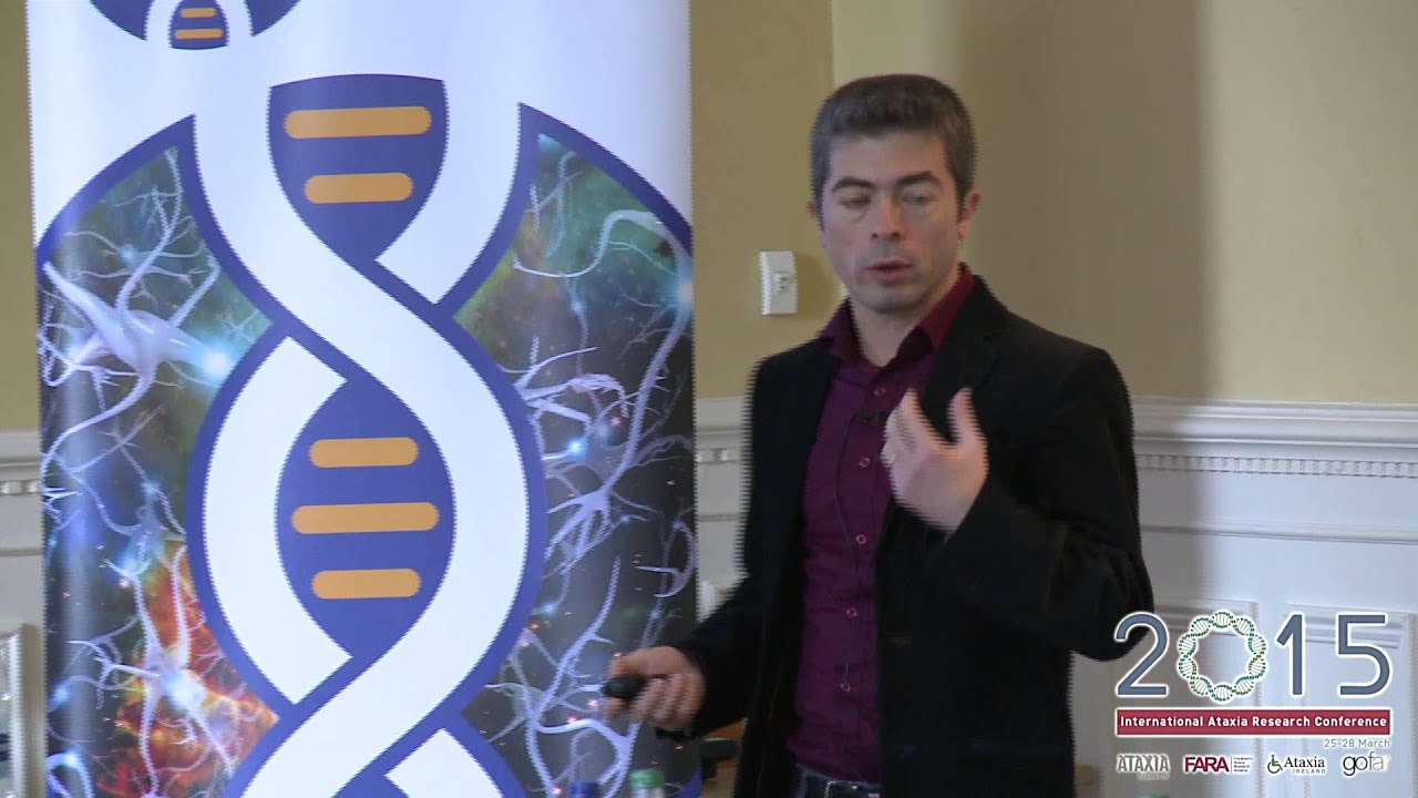 Dr Manolis Fanto Talks About Animal Models of Hereditary ataxias - YouTube
