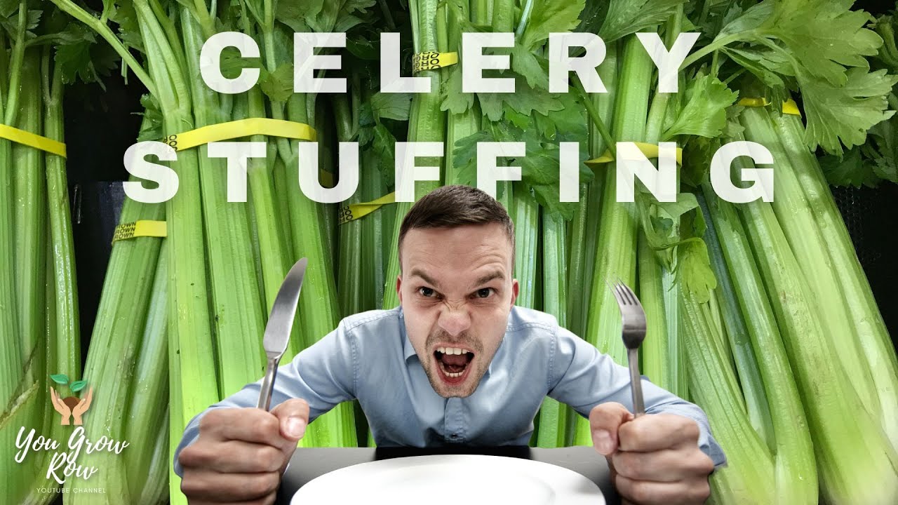 NEW RECIPE Celery Stuffing | Fermented Vegetables Recipe Book - YouTube
