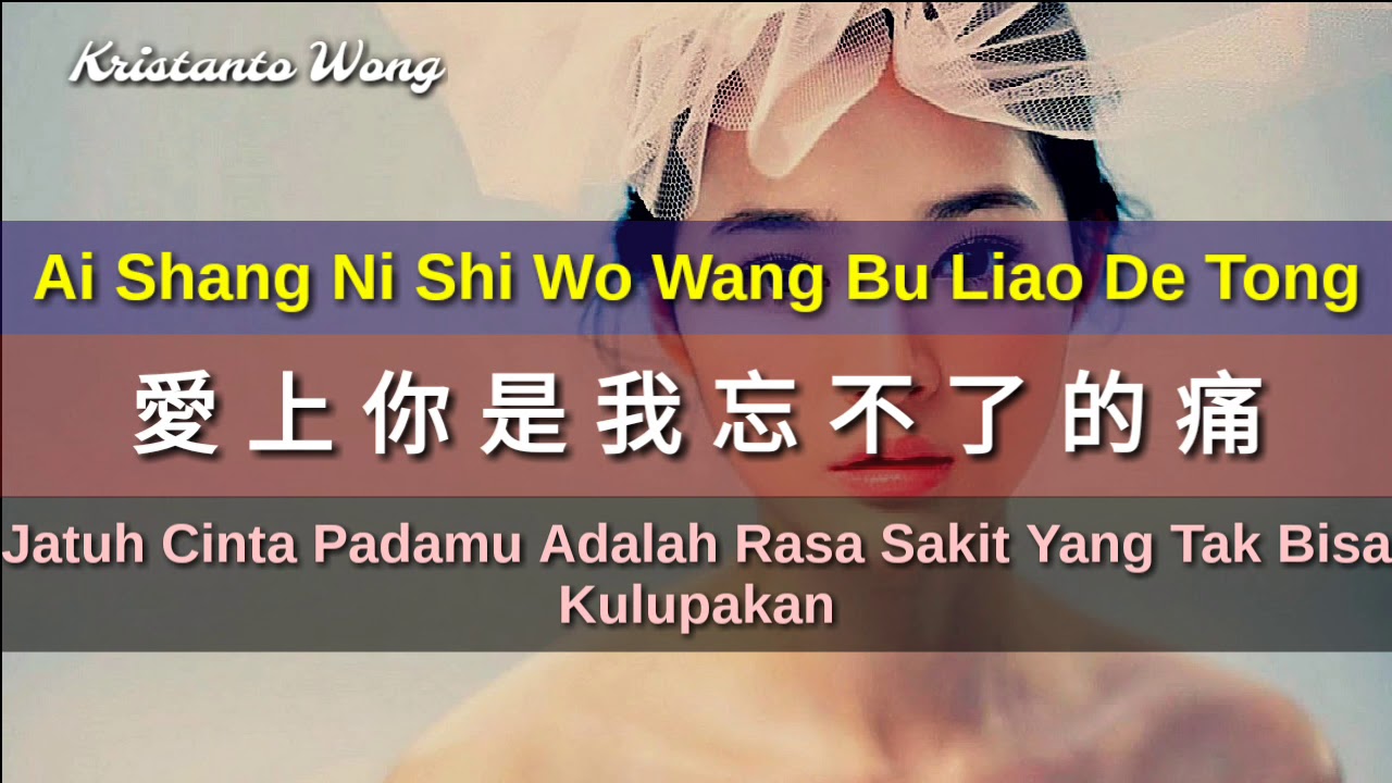 Ai Shang Ni Shi Wo Wang Bu Liao De Tong 愛上你是我忘不了的痛 - Yu Hai Long 于海龍 ...