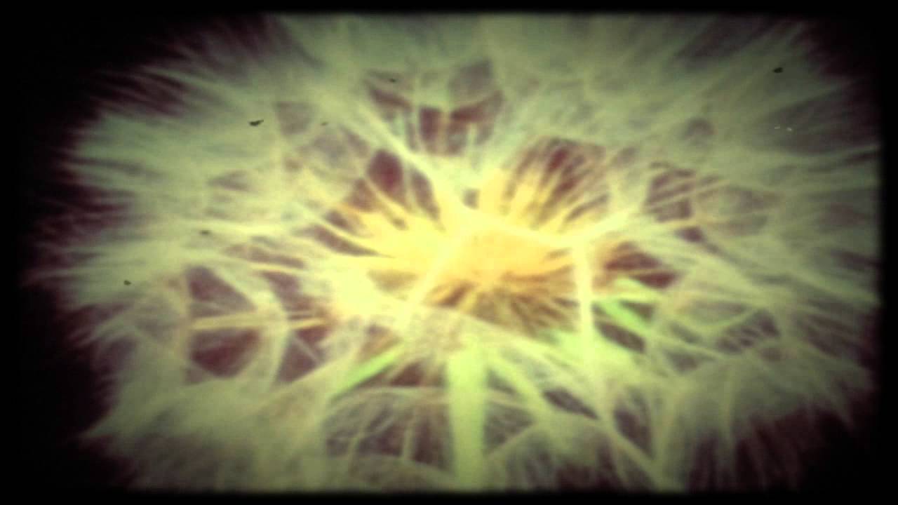 Daniel Brummel - Mount Lowe Overture (2006) - YouTube