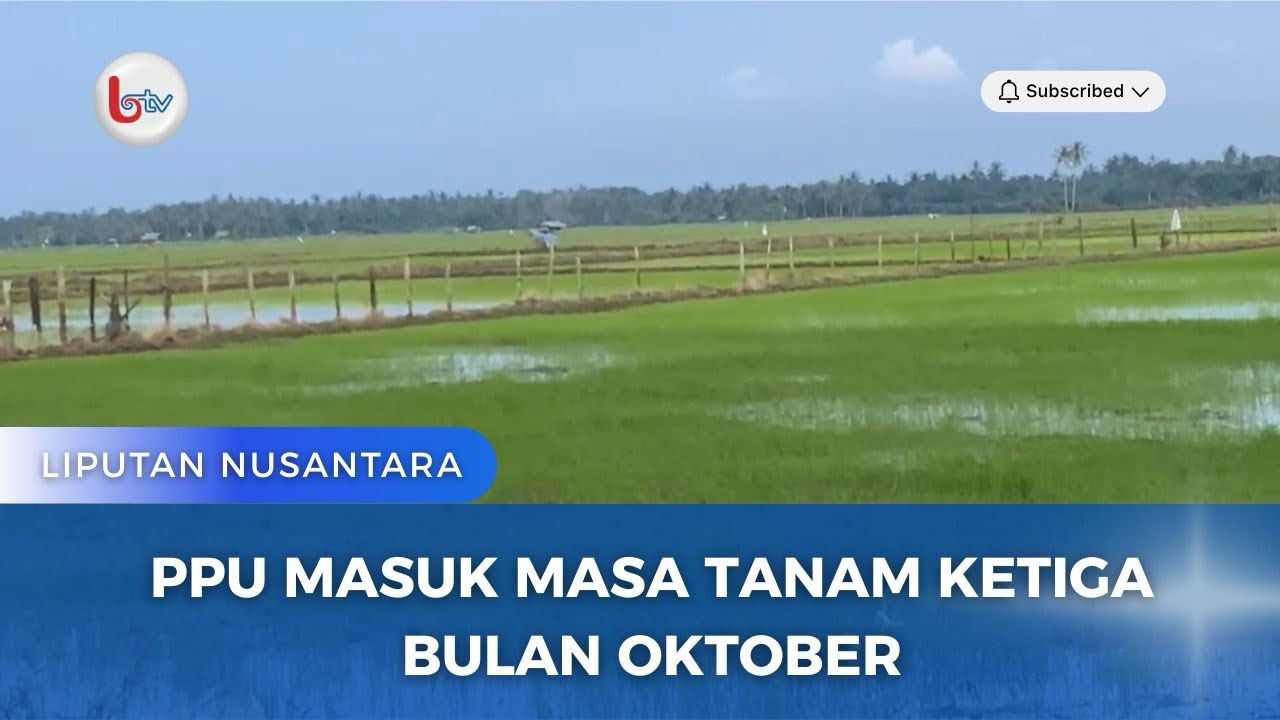 PPU MASUK MASA TANAM KETIGA BULAN OKTOBER - YouTube