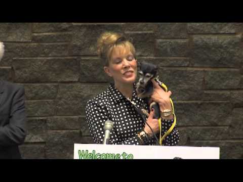 Michele Riggi - Devocalization - YouTube