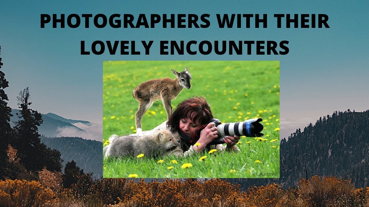 Photographers With Their Lovely Encounters - YouTube