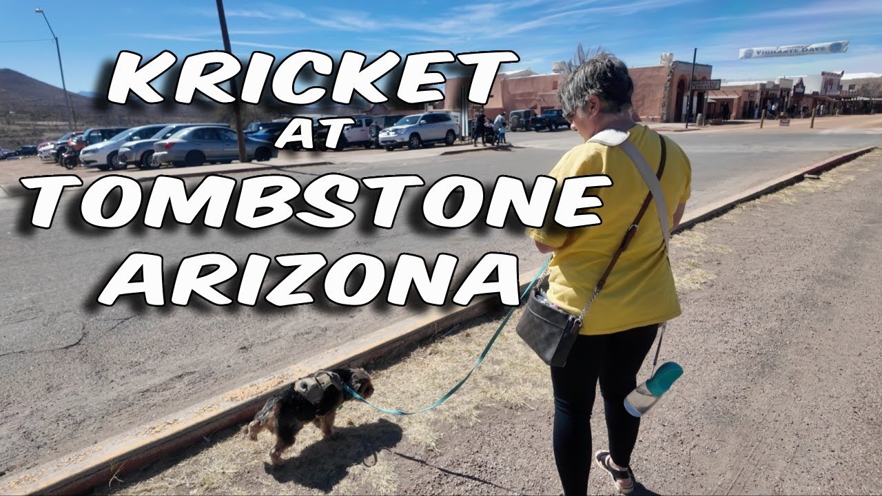 Krickett The Yorkie Dog at Tombstone Arizona - YouTube