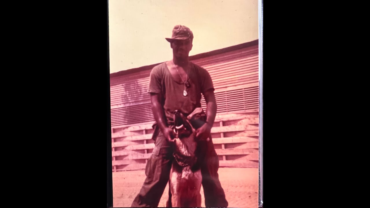 Interview with Joe Anthony, USMC, Scout Dog Handler, 3rd MP Battalion ...