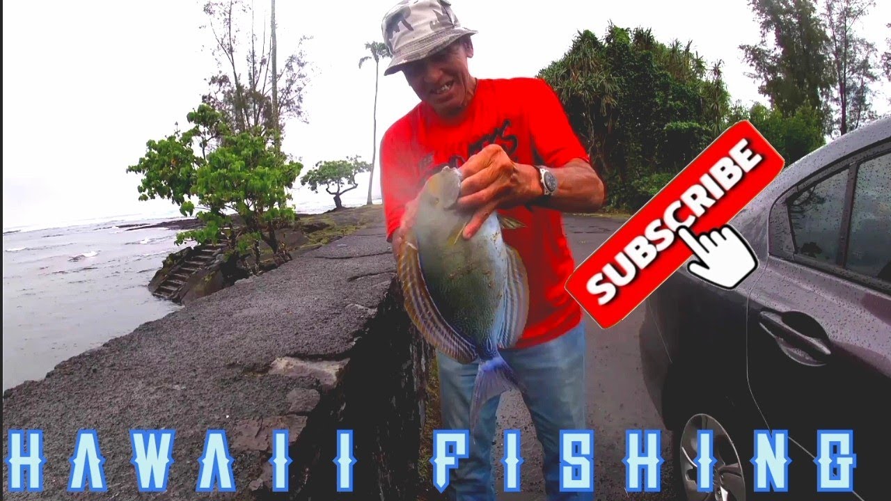 my Biggest fish palani big/ island hawaii fishing/Fishing in hawaii ...