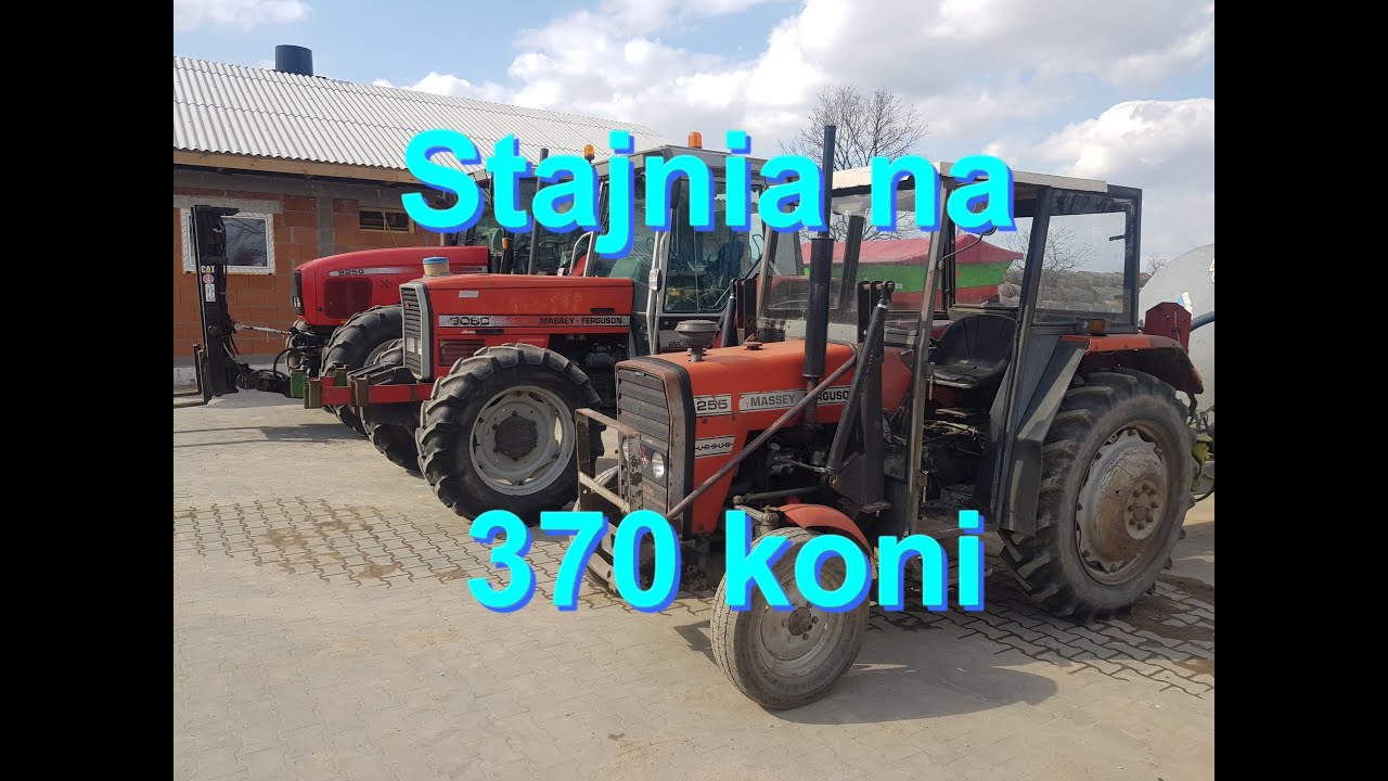 3x Massey Ferguson ! Stajnia w całej okazałości Mf 255, MF 3080, MF ...