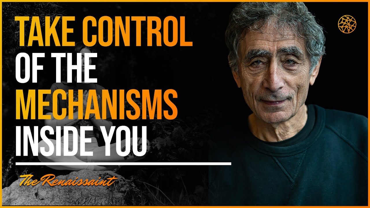 Dr. Gabor Maté On Triggers and Self Awareness | The Renaissaint - YouTube