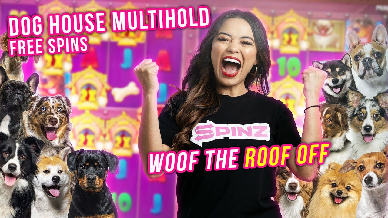 💰 WOOF THE ROOF OFF 💰 (Dog House Multihold Free Spins) - YouTube