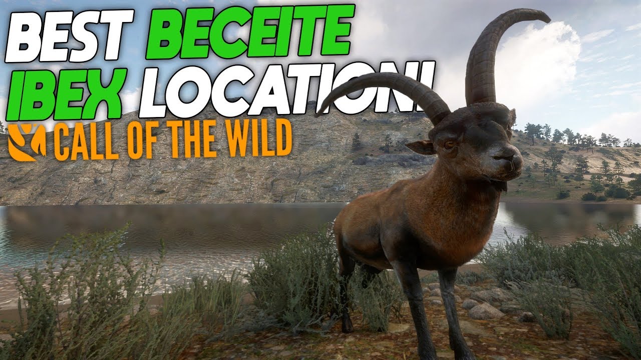 Best Beceite Ibex Location! | theHunter: Call Of The Wild - YouTube