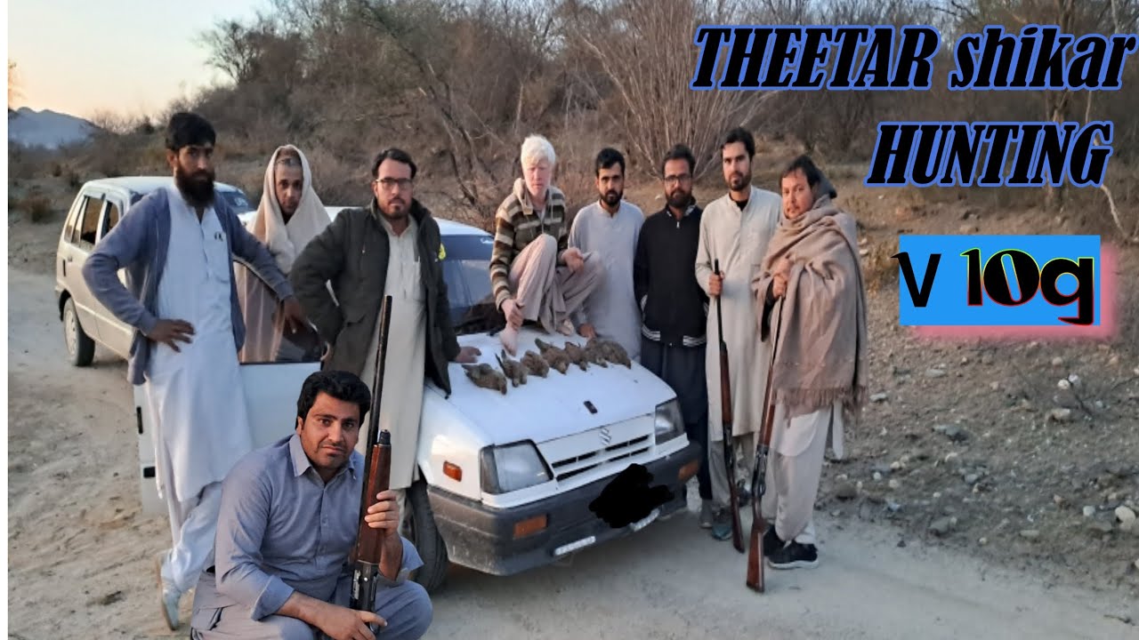 teetar hunting in pakistan | teetar shikar | teetar - YouTube