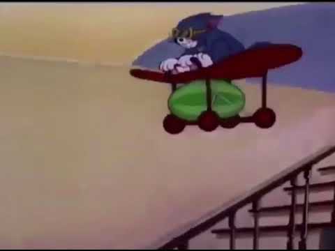 Cat eats watermelon 🍉(meme)