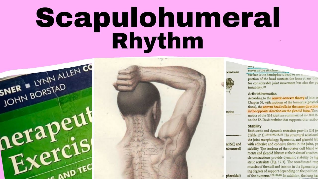 lec 4 | Therapeutic Exercises Chp17 | Scapulohumeral Rhythm - YouTube