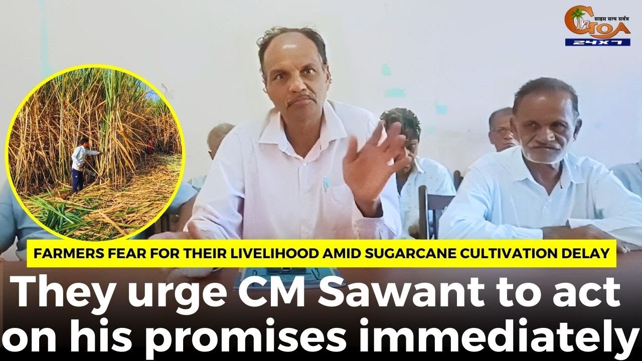 Farmers fear for their livelihood amid sugarcane cultivation delay. T ...