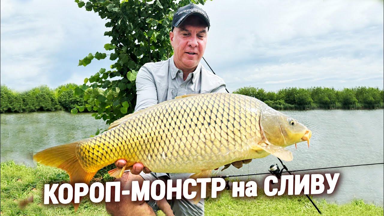 ЛОВЛЯ КОРОПА на ПРОСТІ СНАСТІ - YouTube