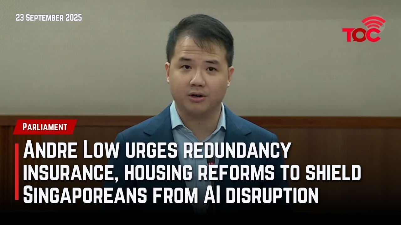 Andre Low urges redundancy insurance, housing reforms to shield ...