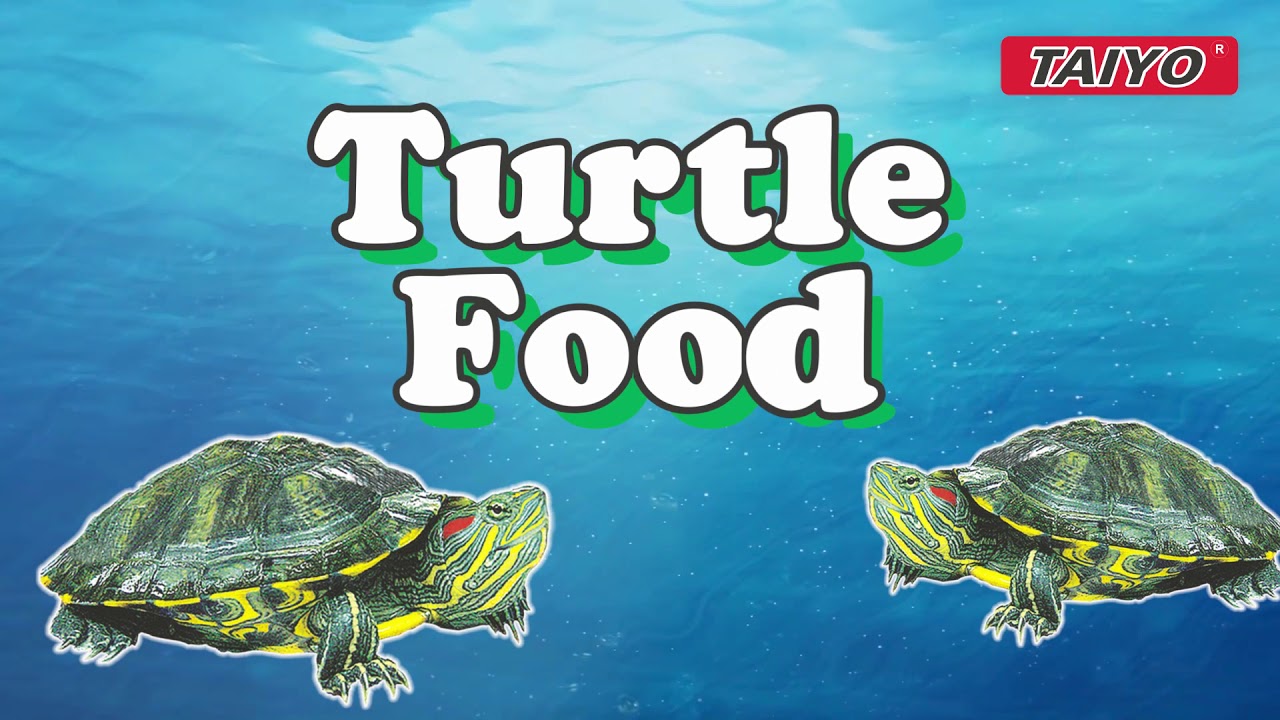 TAIYO TURTLE FOOD - YouTube
